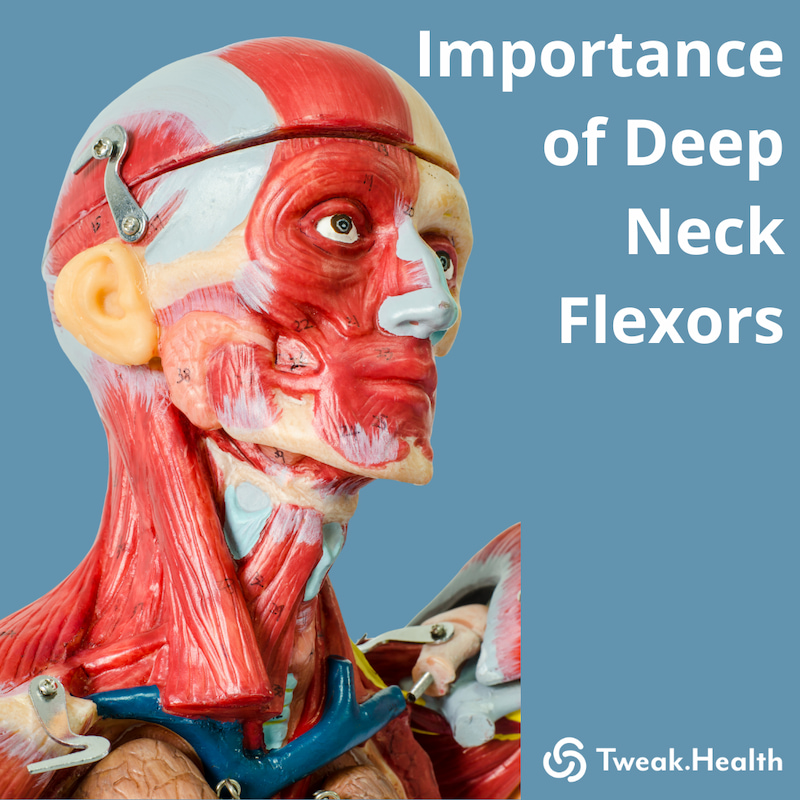 Deep Neck Flexors: Exercises to Strengthen and Alleviate Pain